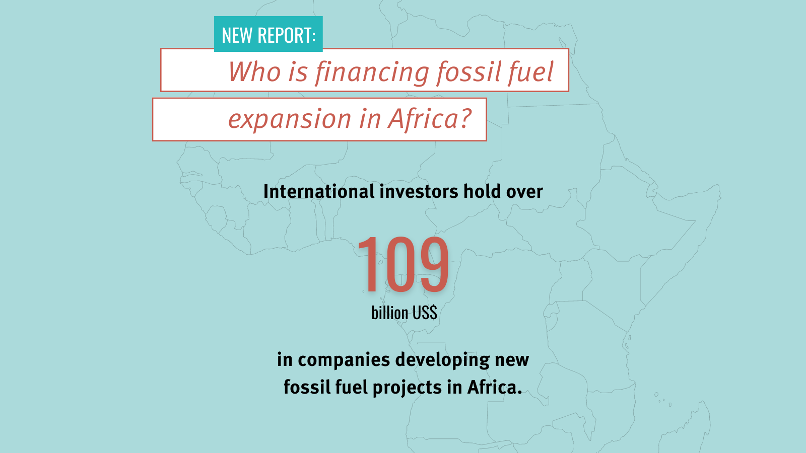NGOs enthüllen die Verantwortlichen hinter der Expansion fossiler ...